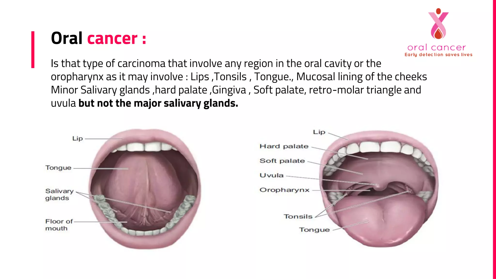 Early cancer detection ( oral cancer ) | PDF