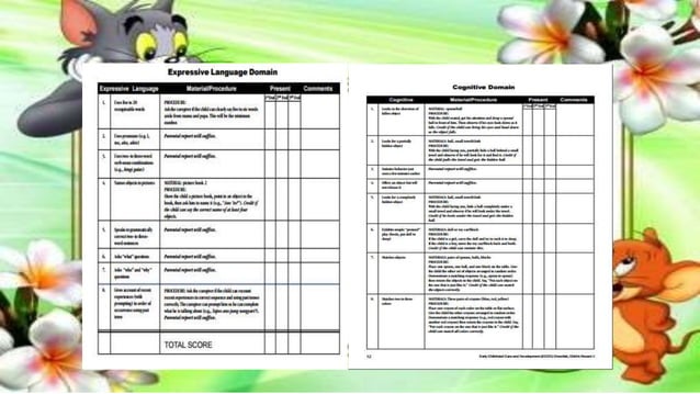 EARLY CHILDHOOD CARE AND DEVELOPMENT (ECCD) INSET PRESENT.pptx ...