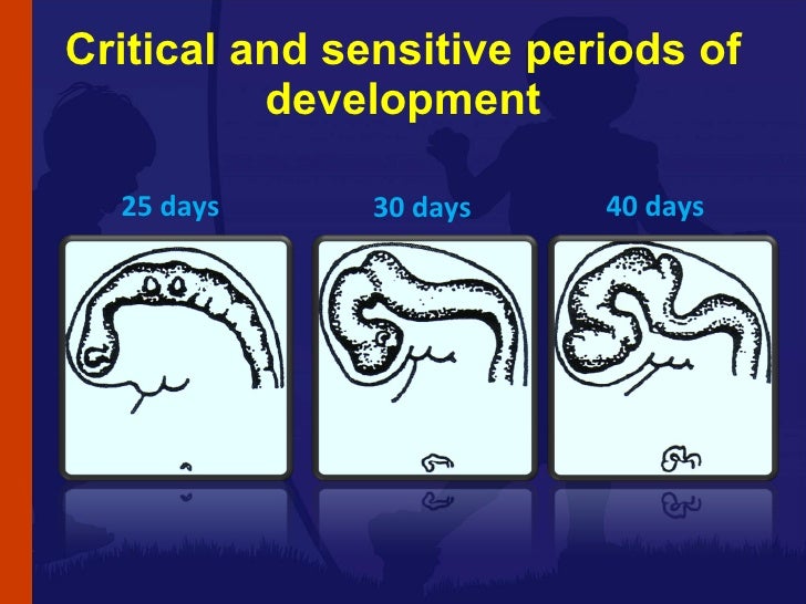 Early Childhood Development Module 2