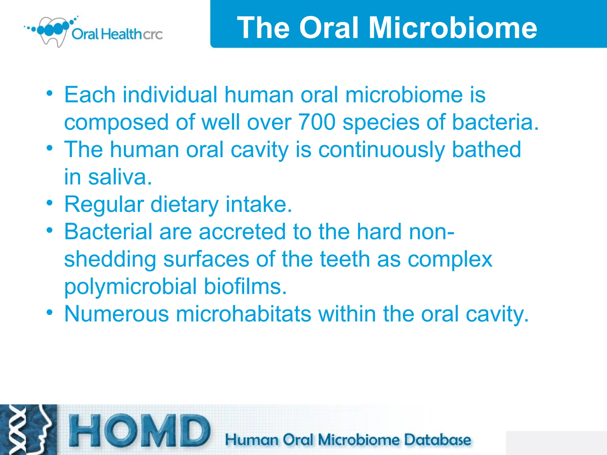 EarlyChildhoodPresentation_StuartDashper.pptx_0.ppt