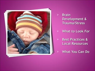 Early Childhood Trauma and Brain Development | PPT