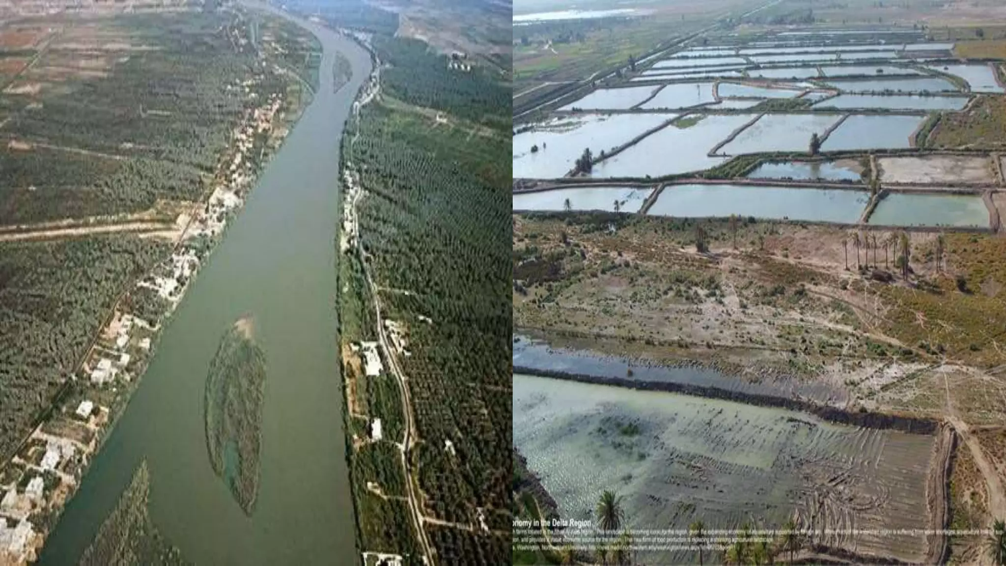 Early civilization: Mesopotamia, Assyria, and Persia | PPTX