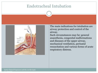 EARLY CLINICAL EXPOSURE ACTIVITY ON THE TOPIC LARYNX.pptx
