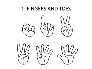 EARLY COUNTING METHODS | PPTX