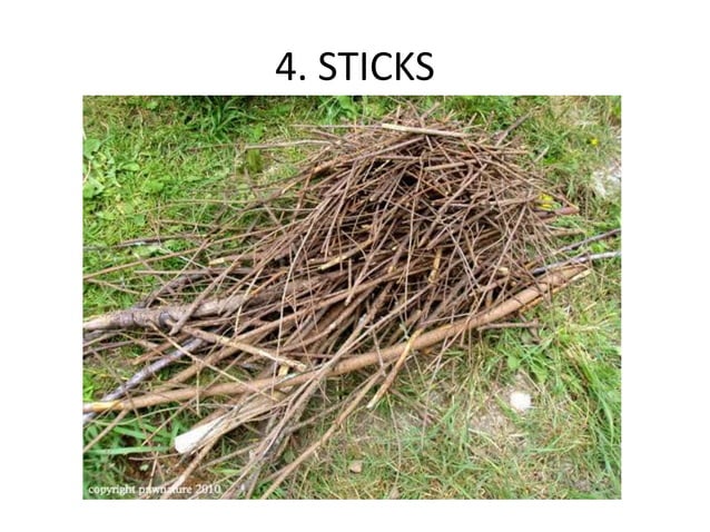 EARLY COUNTING METHODS | PPTX