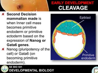 Early Development of Mammals (Mouse and Human).pdf
