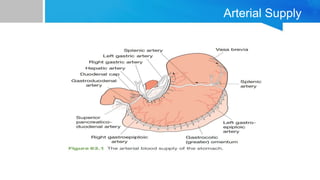 Early Diagnosis Of Gastric Carcinoma | PPT