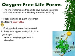 Early Earth and its history with the Beginning of the Earth.ppt