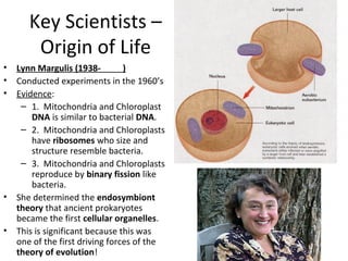Early earth and theories | PPT