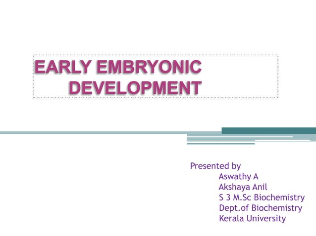 Early embryonic devlpmnt | PPTX