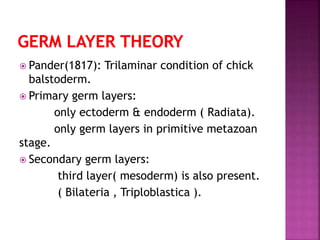 Early embryonic devlpmnt | PPTX
