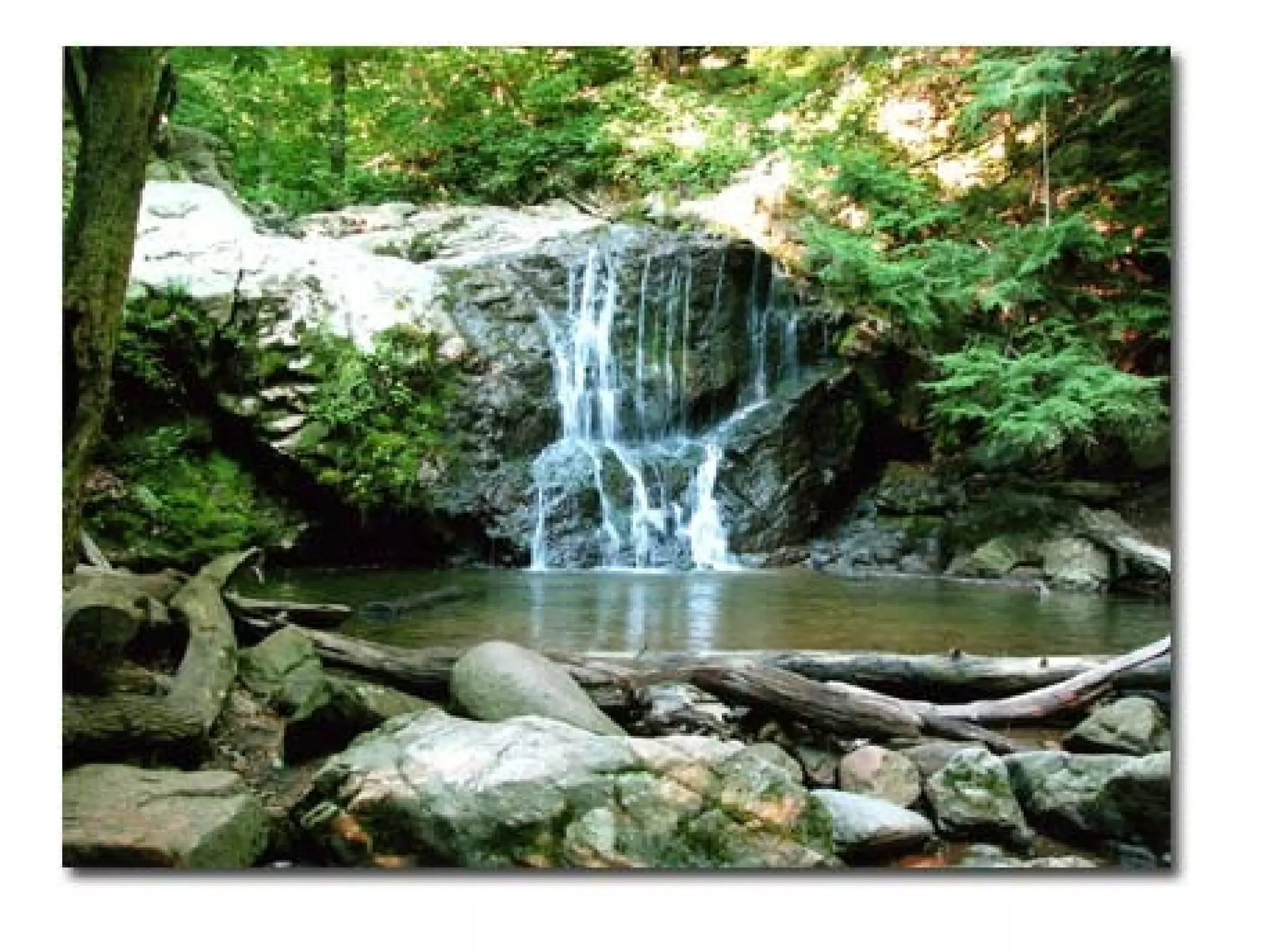 Early English Colonies | PPT | North America Travel | Travel Locations