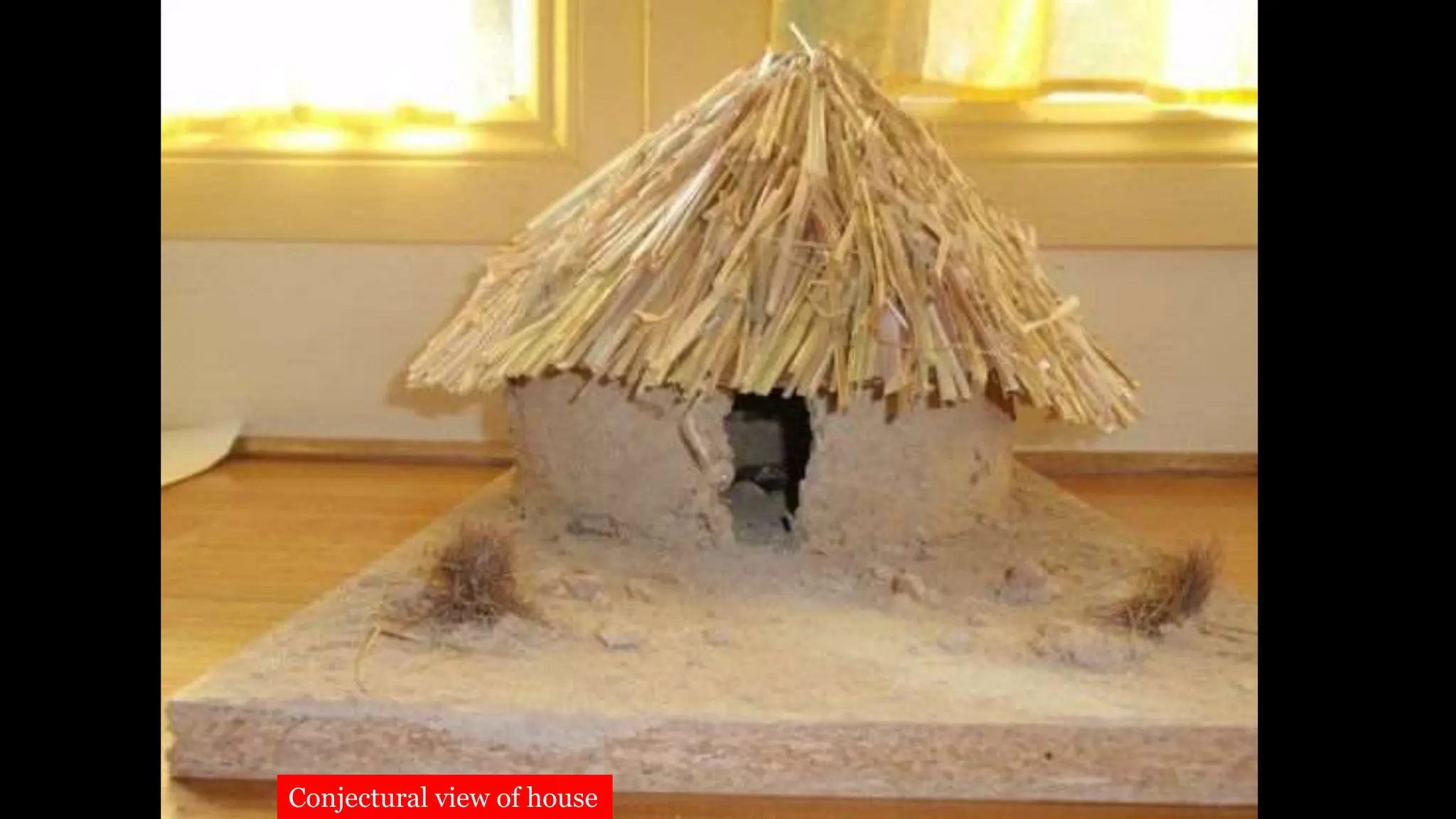 Early farming communities of Central India- Neolithic remains of Belan ...