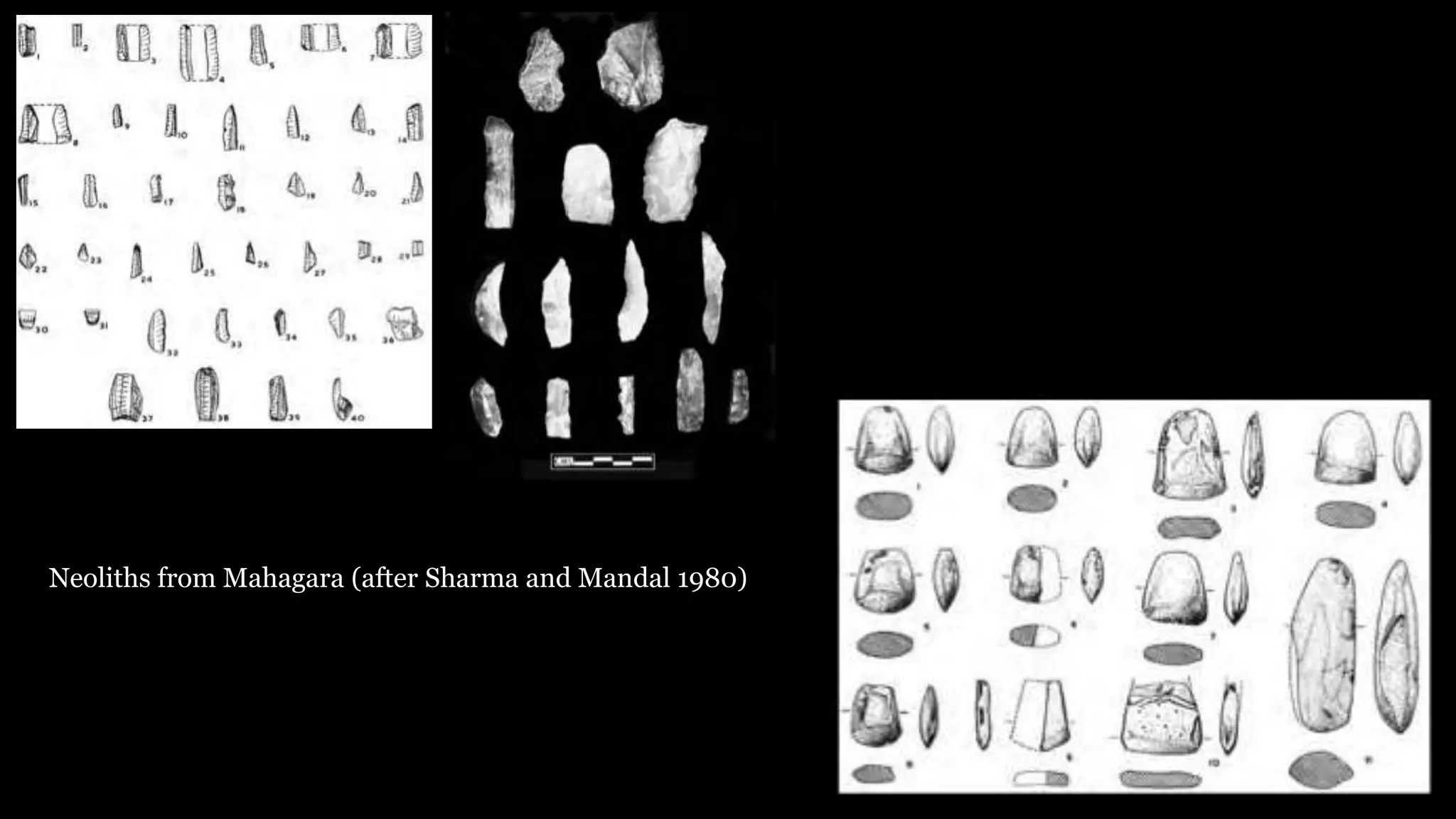 Early farming communities of Central India- Neolithic remains of Belan ...