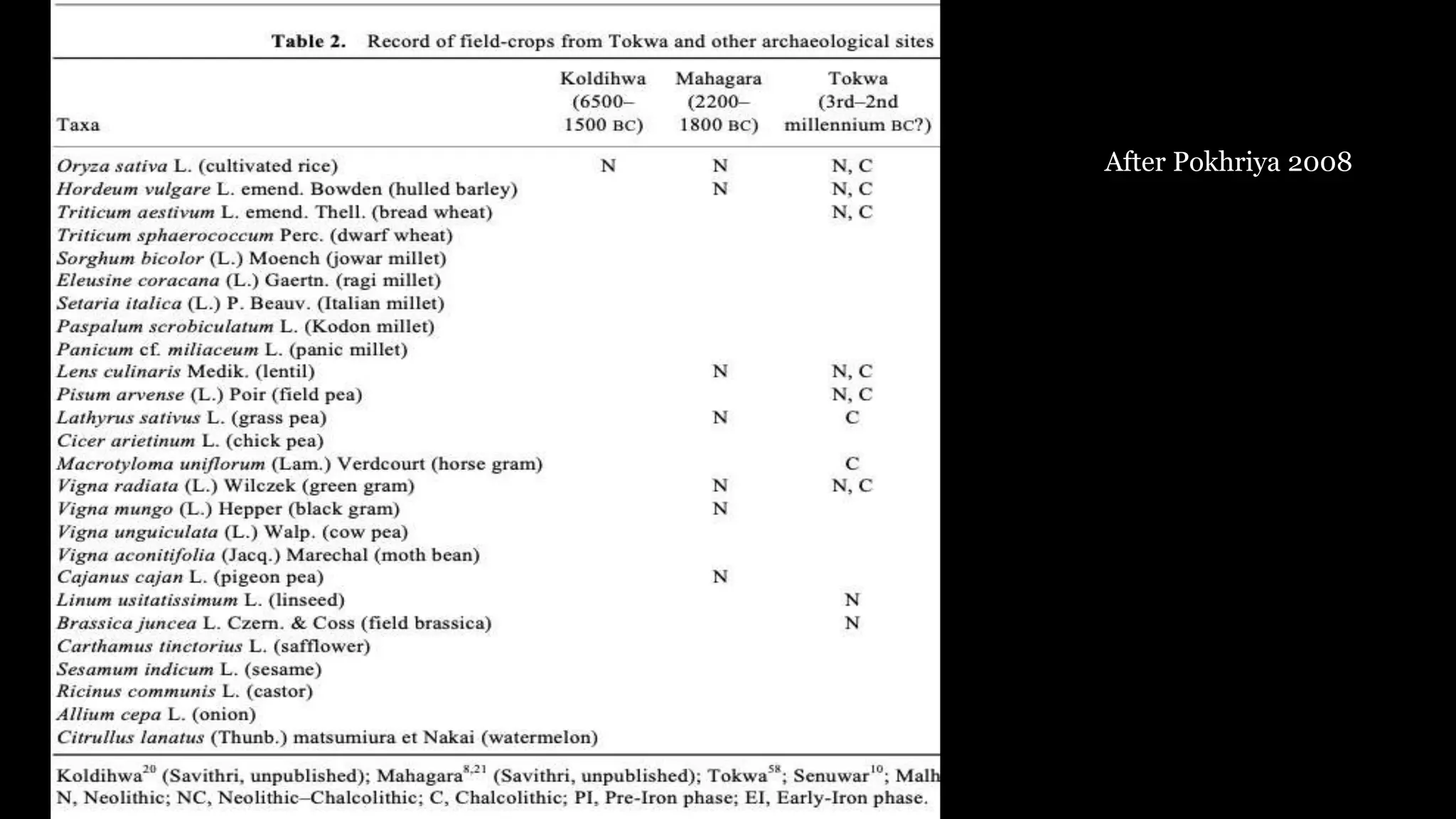 Early farming communities of Central India- Neolithic remains of Belan ...
