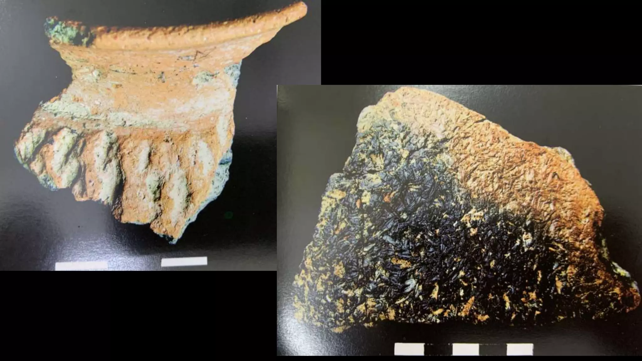 Early farming communities of Central India- Neolithic remains of Ganga ...