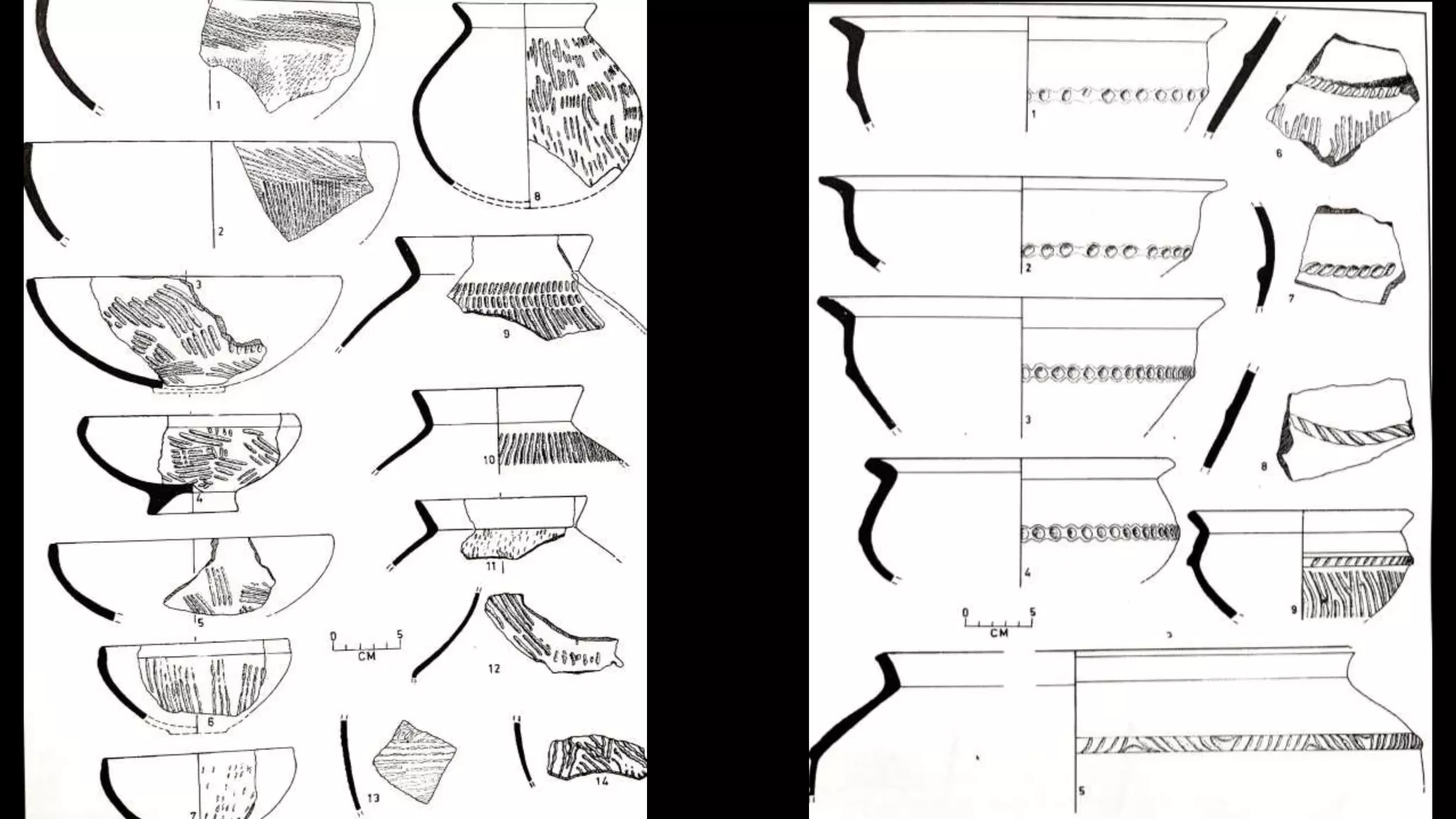 Early farming communities of Central India- Neolithic remains of Ganga ...