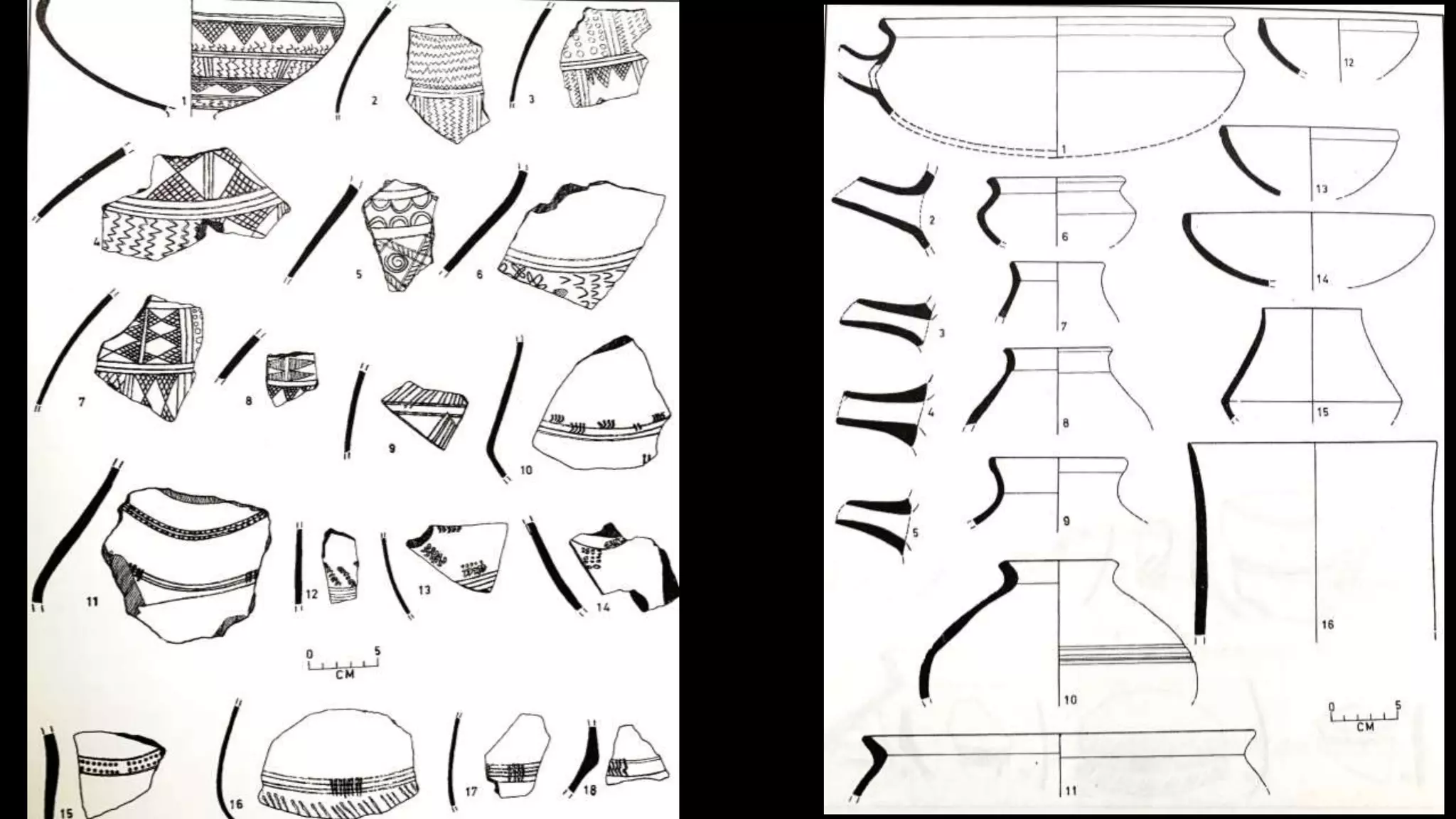 Early farming communities of Central India- Neolithic remains of Ganga ...