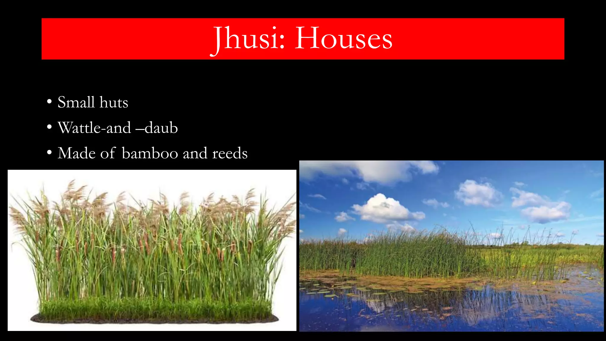 Early farming communities of Central India- Neolithic remains of Ganga ...