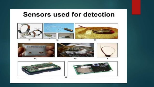 Early Fire Detection System Using Wireless Sensor Ppt Pptx