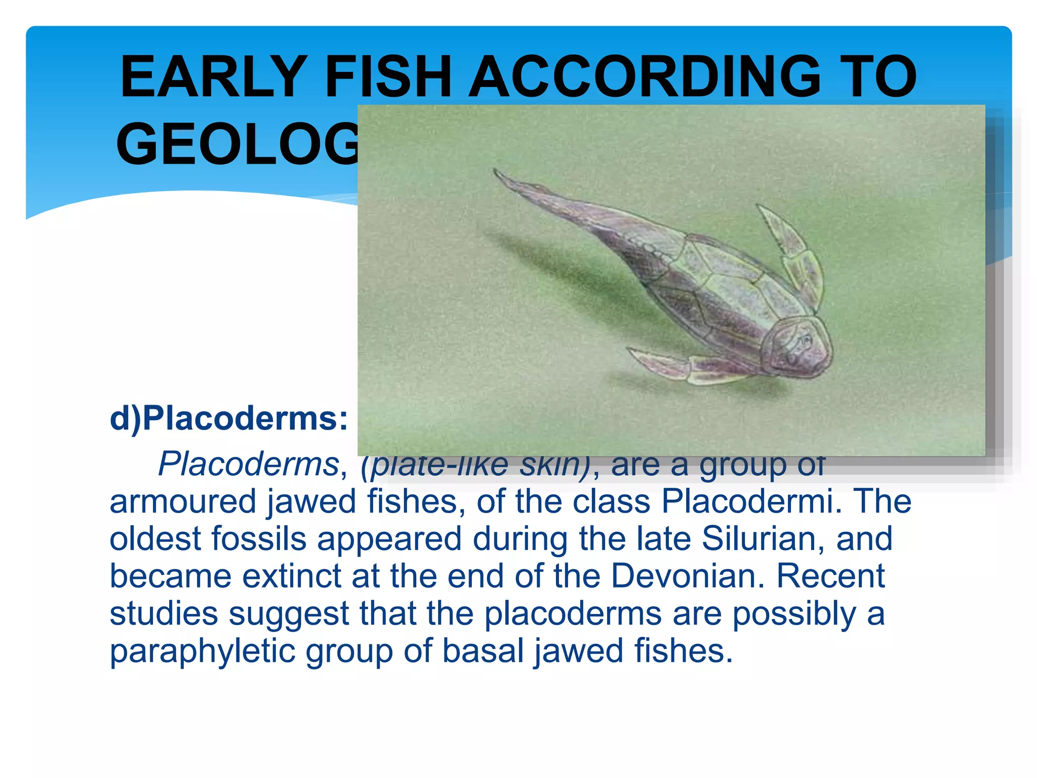 Evolution of fish (Early fish) | PPTX