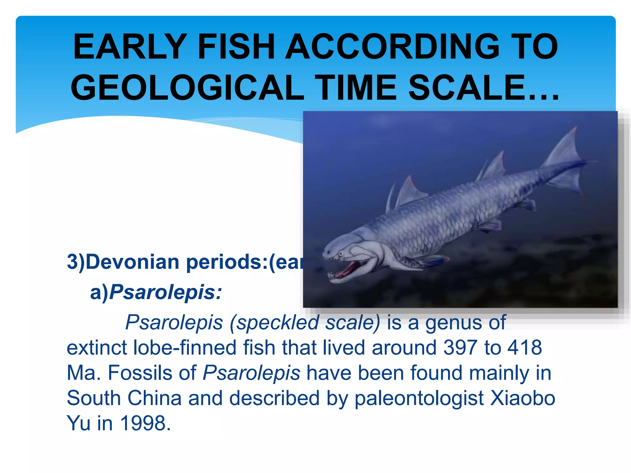 Evolution of fish (Early fish) | PPTX