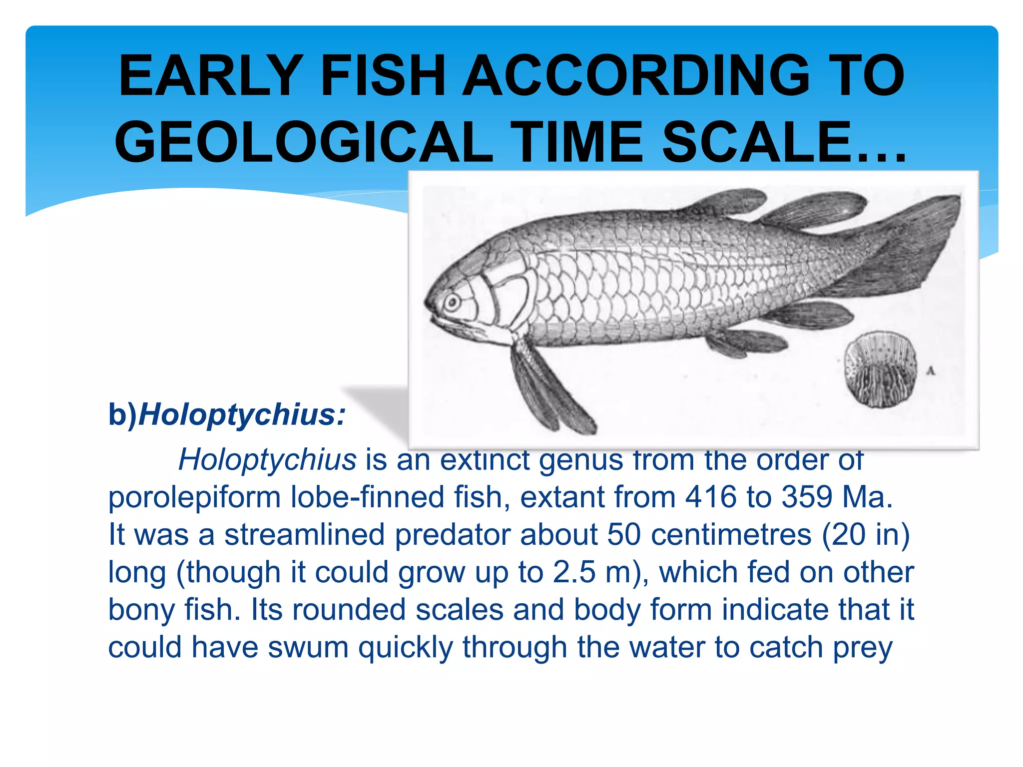 Evolution of fish (Early fish) | PPTX | Fish and Aquariums | Pets