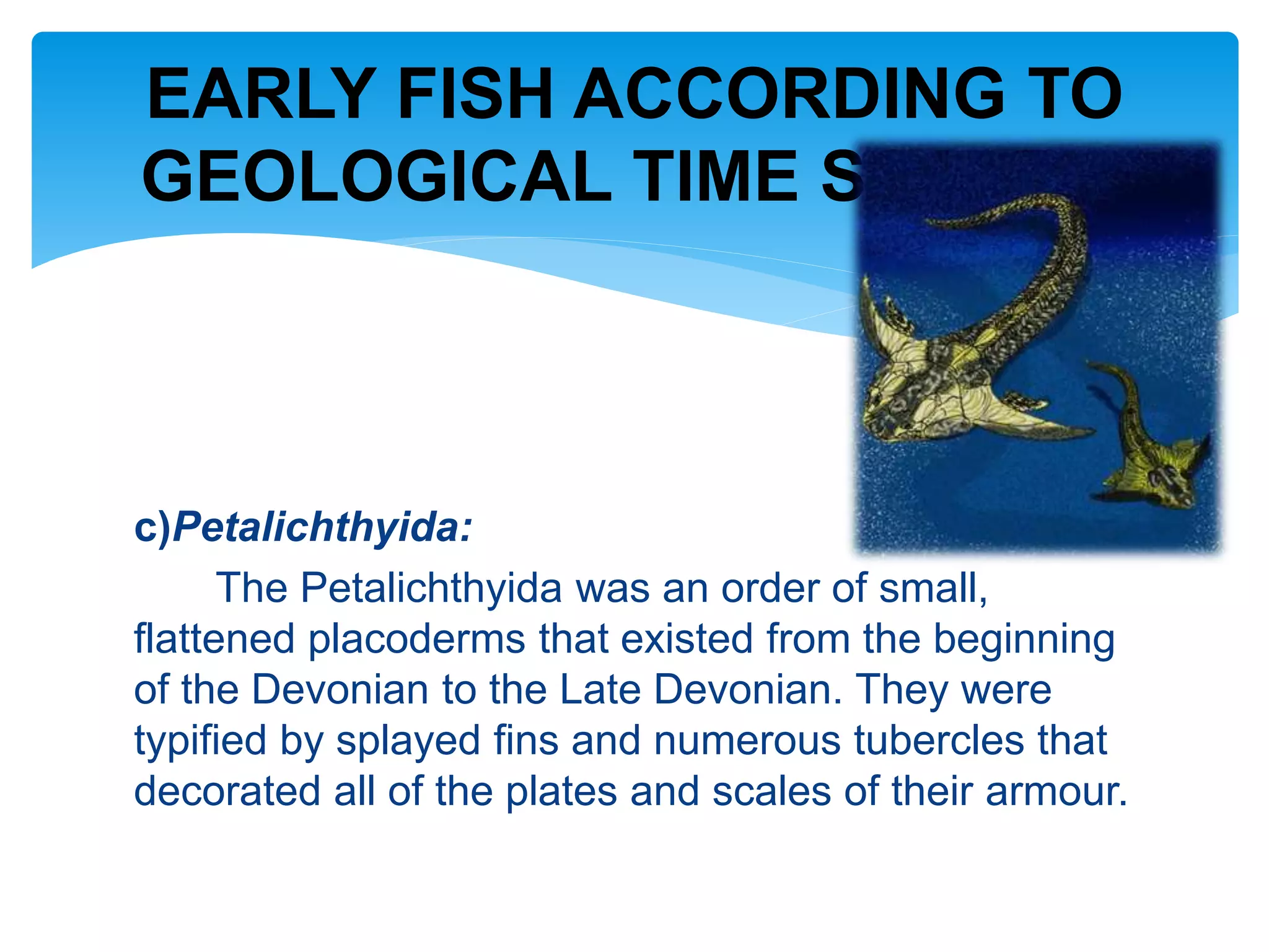 Evolution of fish (Early fish) | PPTX | Fish and Aquariums | Pets