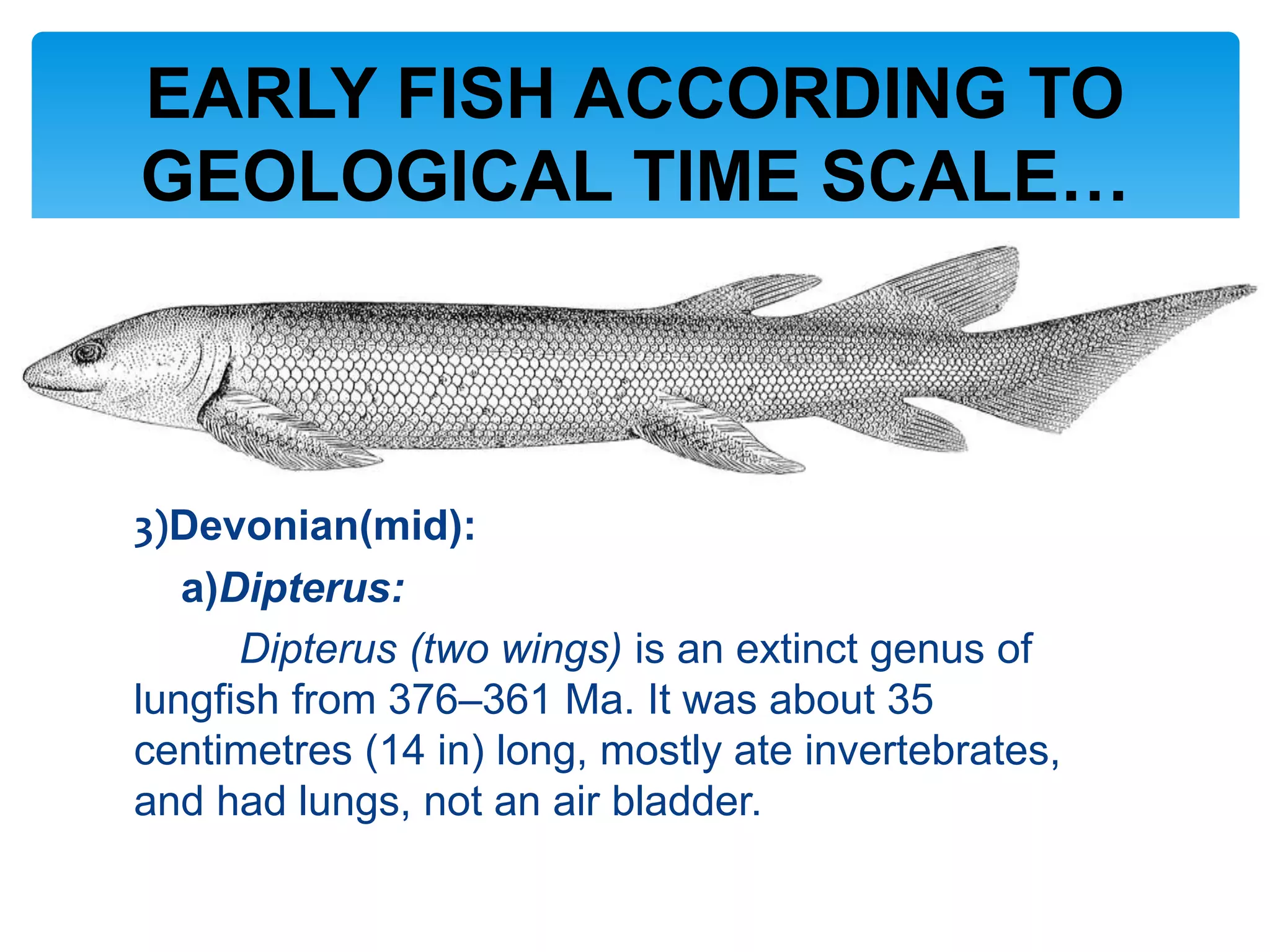 Evolution of fish (Early fish) | PPTX