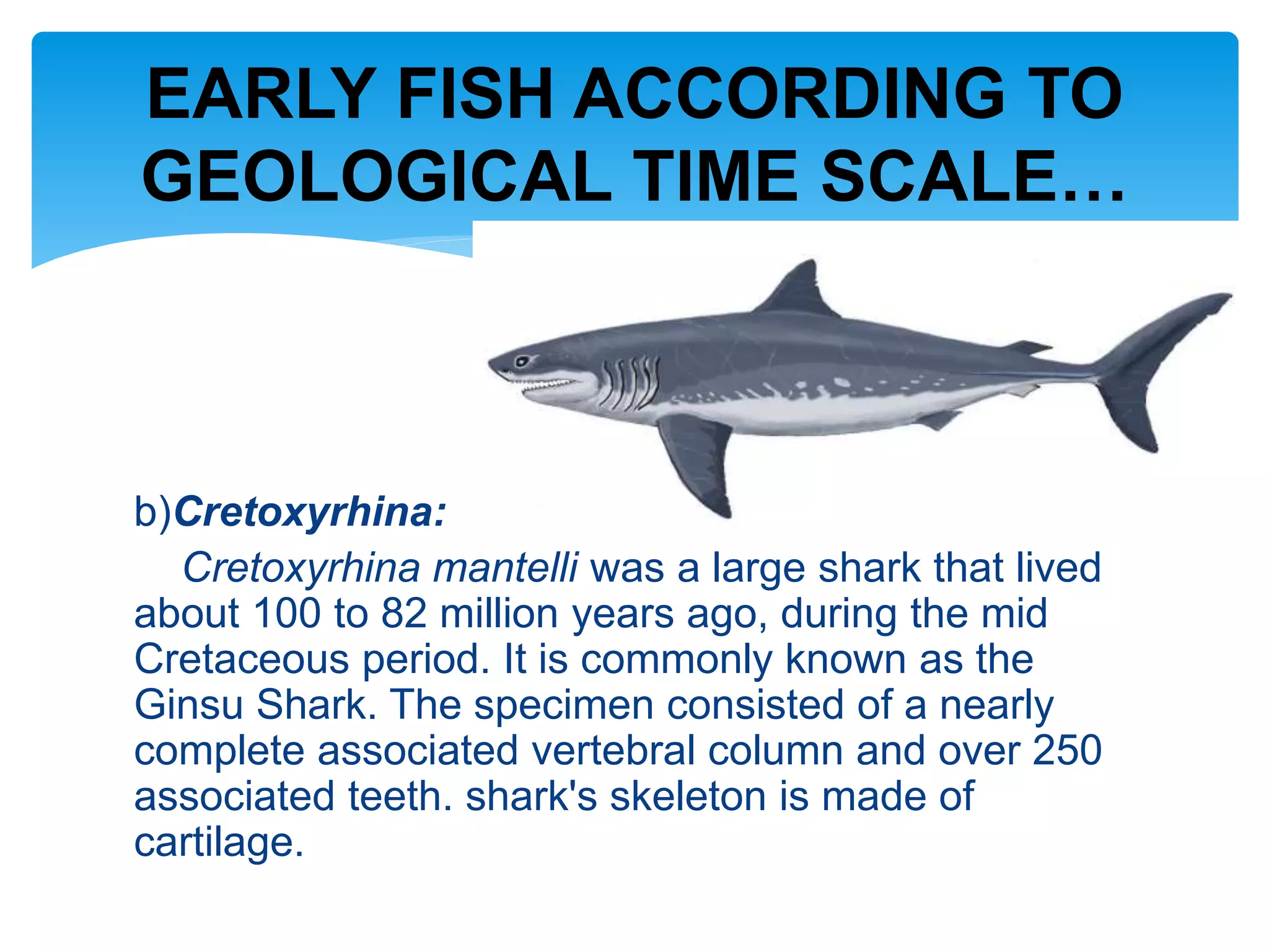 Evolution of fish (Early fish) | PPTX