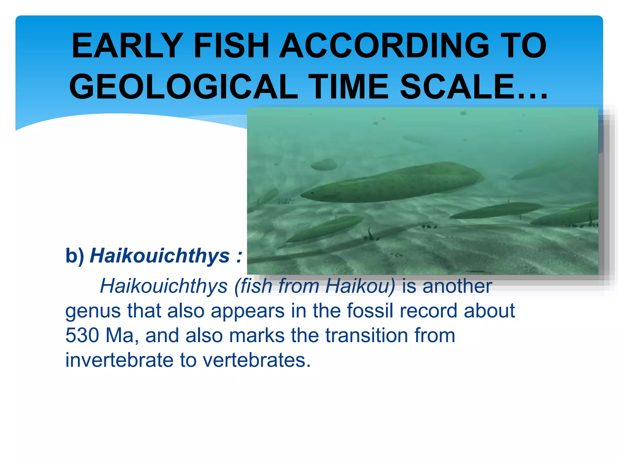 Evolution of fish (Early fish) | PPTX