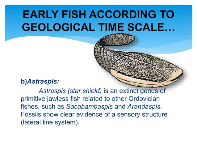Evolution of fish (Early fish) | PPTX | Fish and Aquariums | Pets