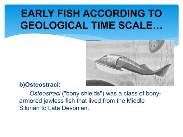 Evolution of fish (Early fish) | PPTX | Fish and Aquariums | Pets