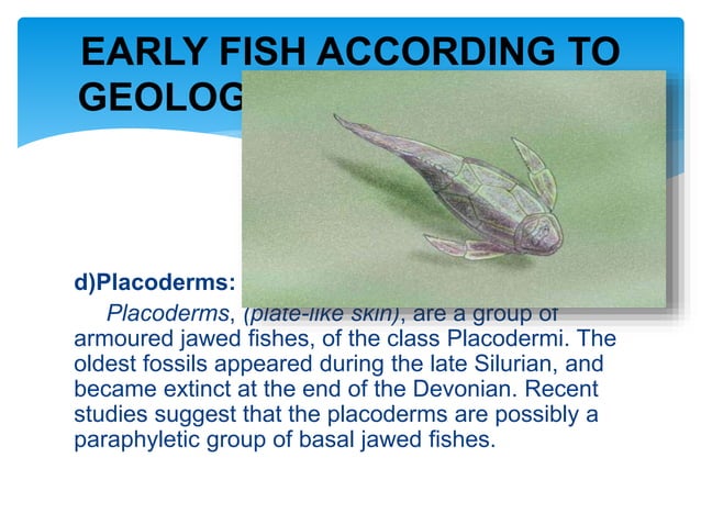 Evolution of fish (Early fish) | PPTX | Fish and Aquariums | Pets