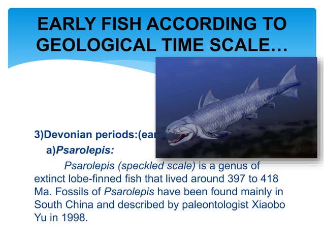 Evolution of fish (Early fish) | PPTX | Fish and Aquariums | Pets