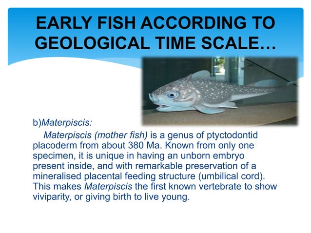 Evolution of fish (Early fish) | PPTX | Fish and Aquariums | Pets