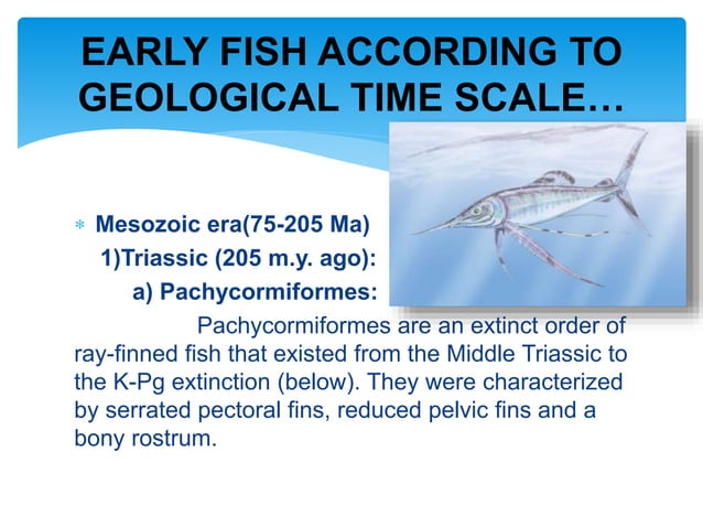 Evolution of fish (Early fish) | PPTX | Fish and Aquariums | Pets