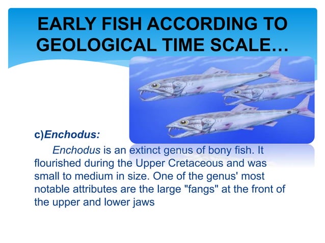 Evolution of fish (Early fish) | PPTX | Fish and Aquariums | Pets