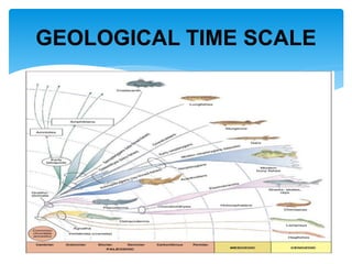 Evolution of fish (Early fish) | PPTX