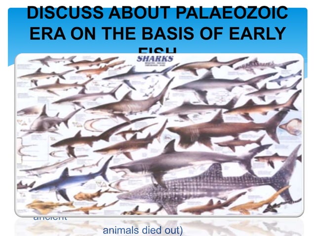 Evolution of fish (Early fish) | PPTX | Fish and Aquariums | Pets