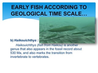Evolution of fish (Early fish) | PPTX