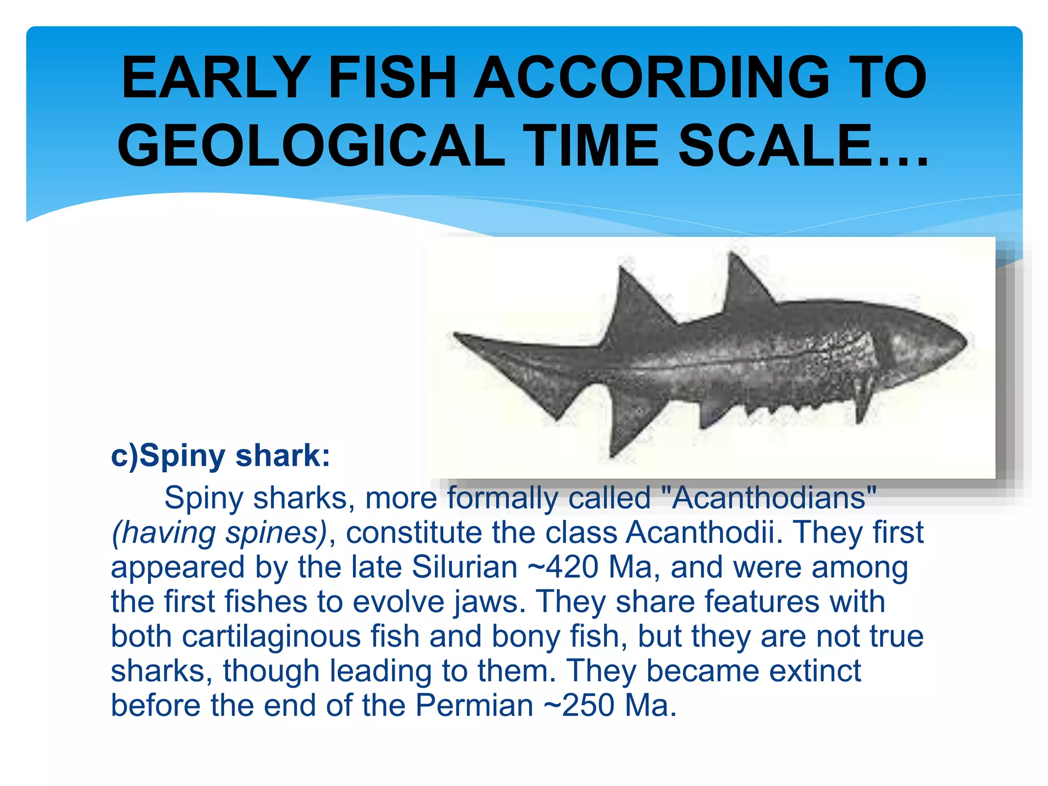 Evolution of fish (Early fish) | PPTX