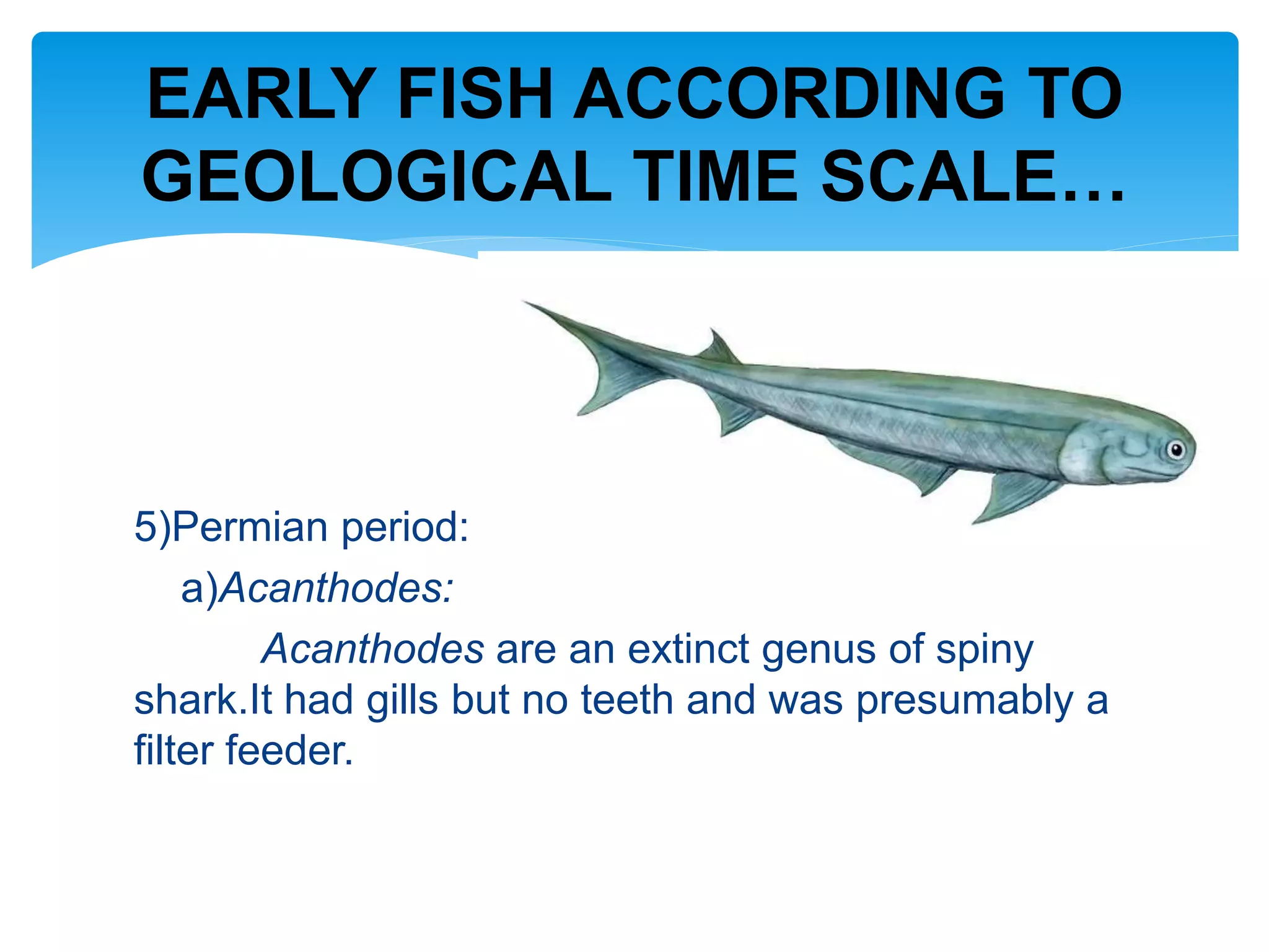 Evolution of fish (Early fish) | PPTX