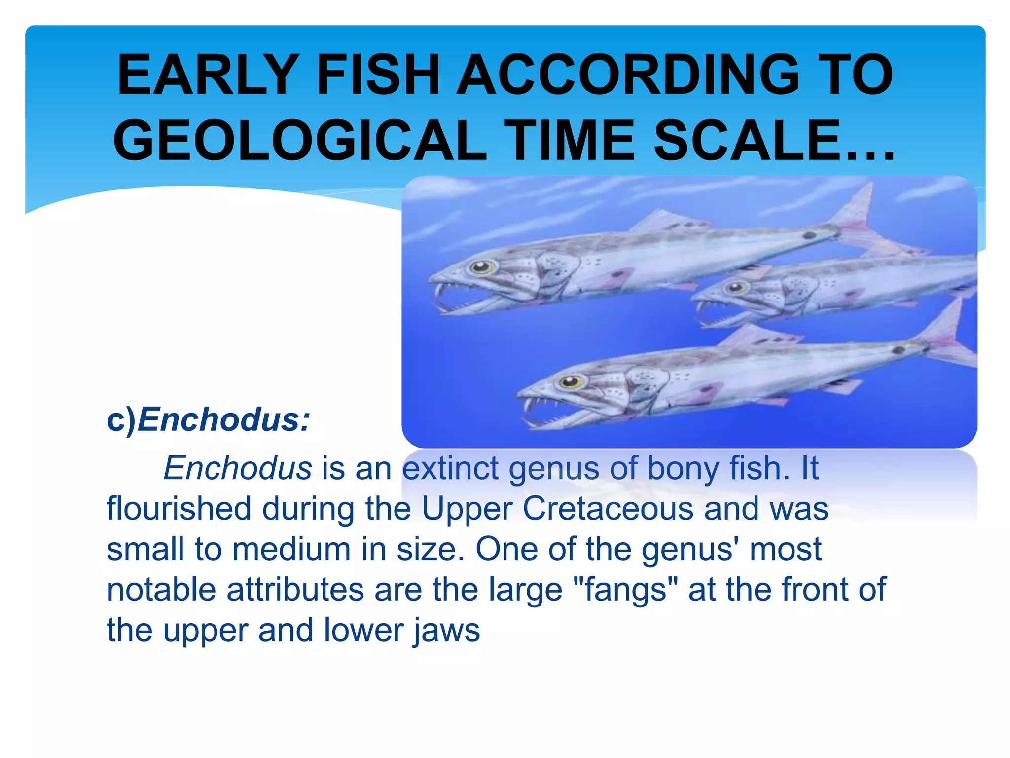 Evolution of fish (Early fish) | PPTX
