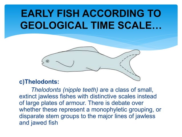 Evolution of fish (Early fish) | PPTX