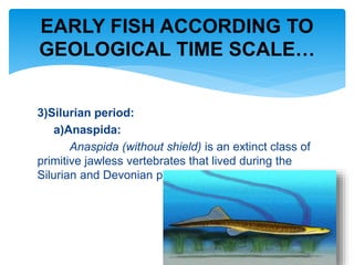 Evolution of fish (Early fish) | PPTX