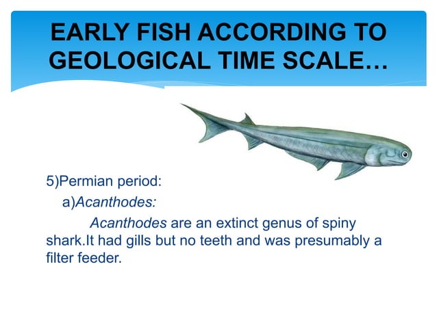 Evolution of fish (Early fish) | PPTX