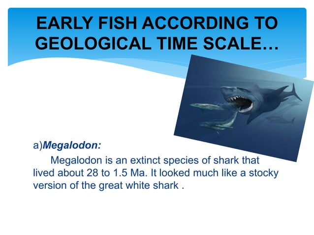 Evolution of fish (Early fish) | PPTX