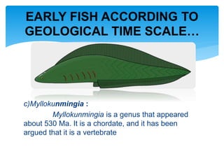 Evolution of fish (Early fish) | PPTX