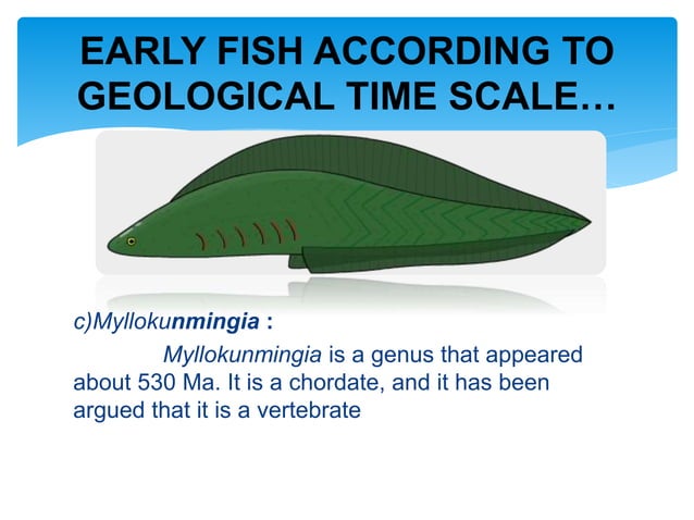 Evolution of fish (Early fish) | PPTX